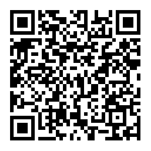 DM 5cm2 碱性阴离子交换膜水电解槽 (完整套件)-科学材料站 SCI Materials Hub